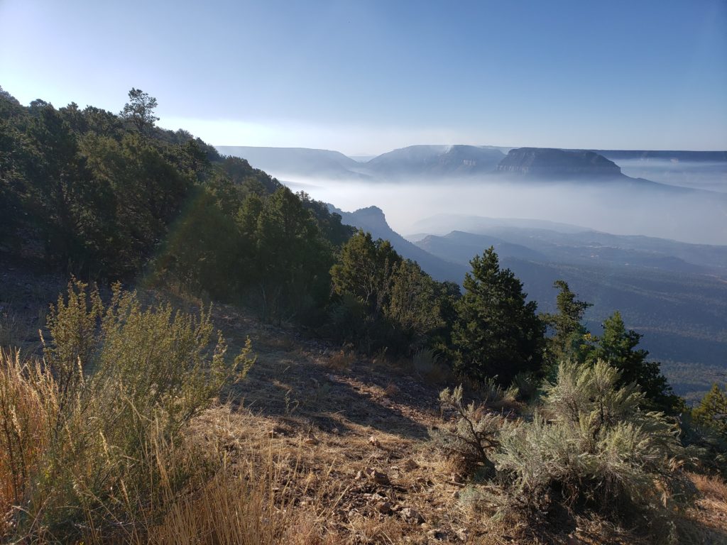 Naughting - Just Mike Just